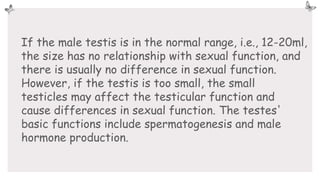 Sexual Health: Your Testicle Size Says a Lot | PPTX