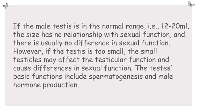 Sexual Health: Your Testicle Size Says a Lot | PPTX | Sexual Conditions ...