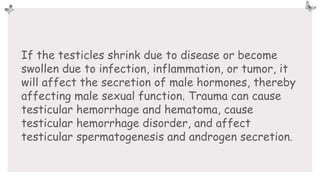 Sexual Health: Your Testicle Size Says a Lot | PPTX