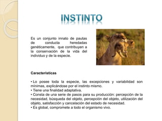 instinto y Sexualidad | PPTX