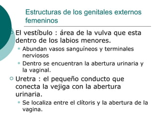 Sexualidad Humana #3 Cap. 4 Anatomia Y Fisiologia Sexual Femenina. | PPT