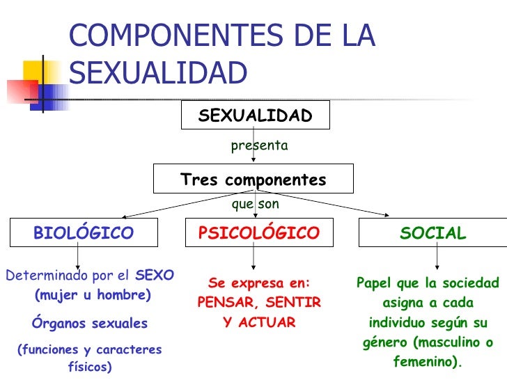 Sexualidad