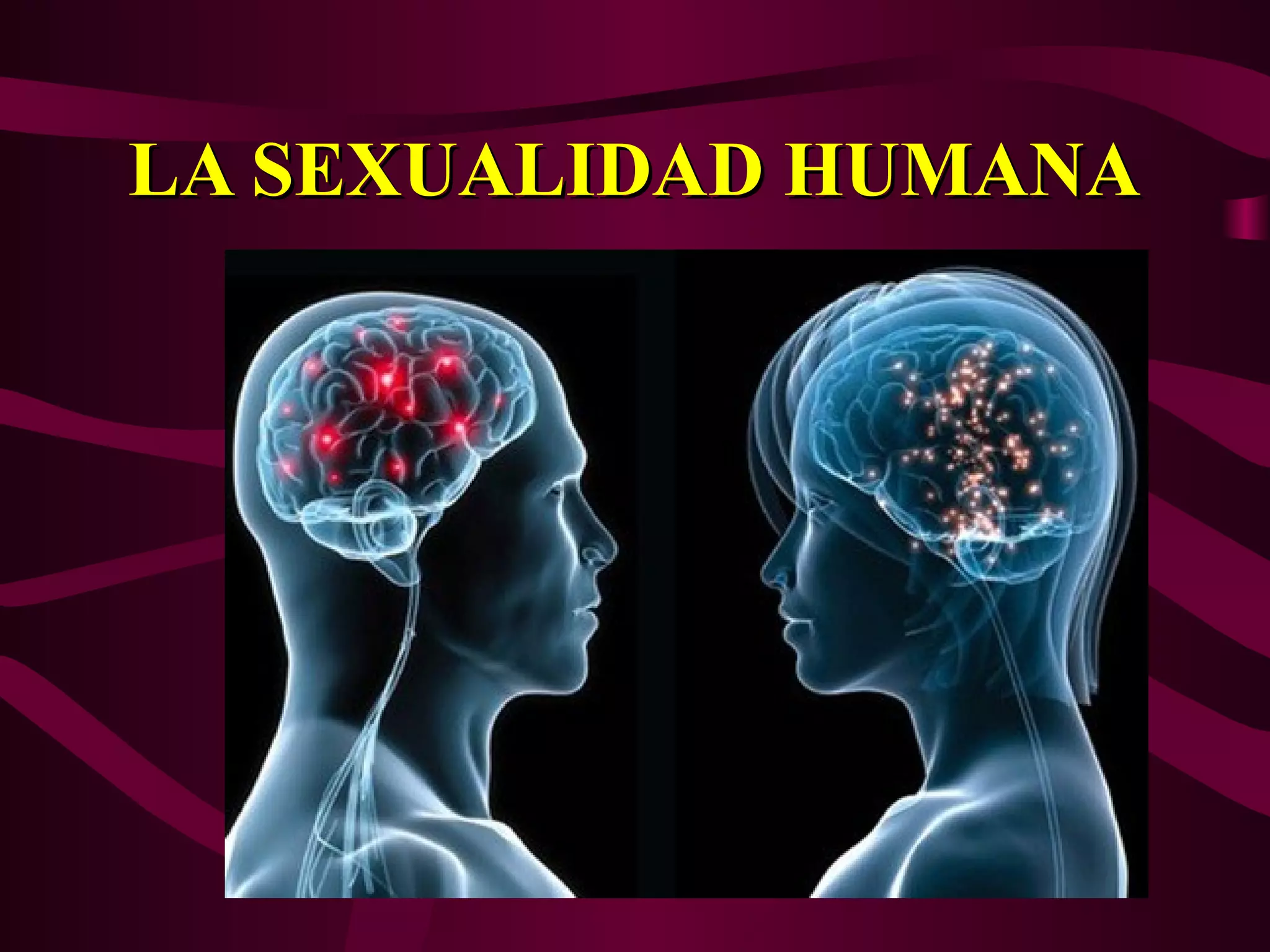 Sexualidad Humana Ppt