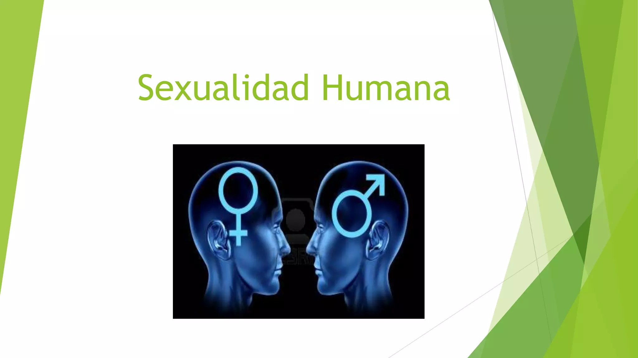 Sexualidad Humana Ppt Descarga Gratuita