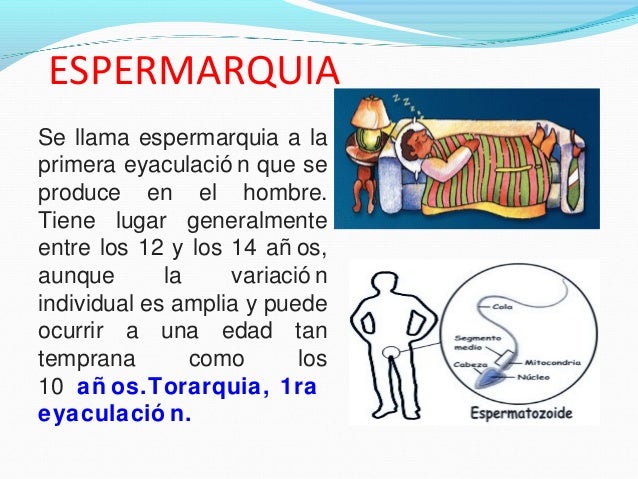 Sexualidad y el desarrollo físico