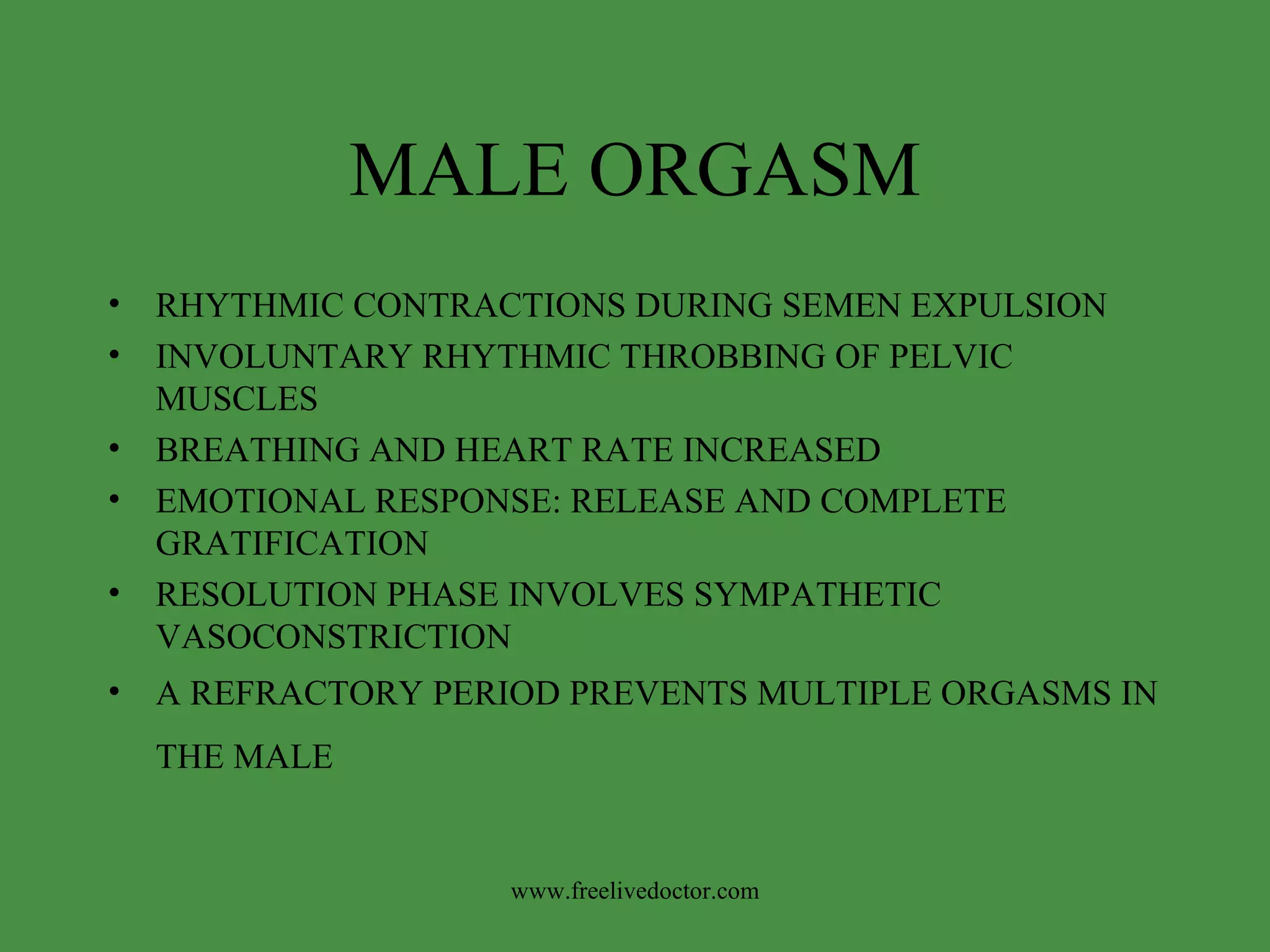 Sexual Intercourse Conception Ppt
