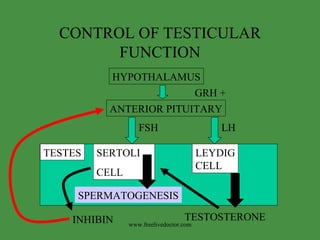 Sexual Intercourse,Conception | PPT
