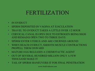 Sexual Intercourse,Conception | PPT