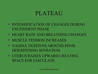 Sexual Intercourse,Conception | PPT