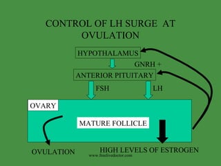 Sexual Intercourse Process Diagram