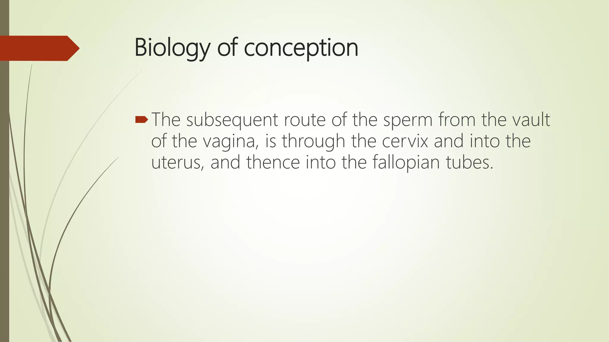 The physiology of human Sexual intercourse | PPTX