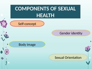 Sexuality And Sexual Health Power Point Presentation Pptx