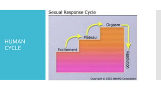 Sexuality in spinal cord injury patients | PPTX
