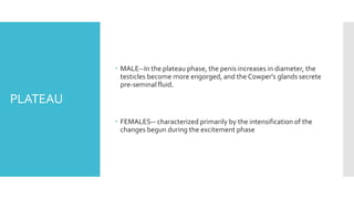 Sexuality in spinal cord injury patients | PPTX