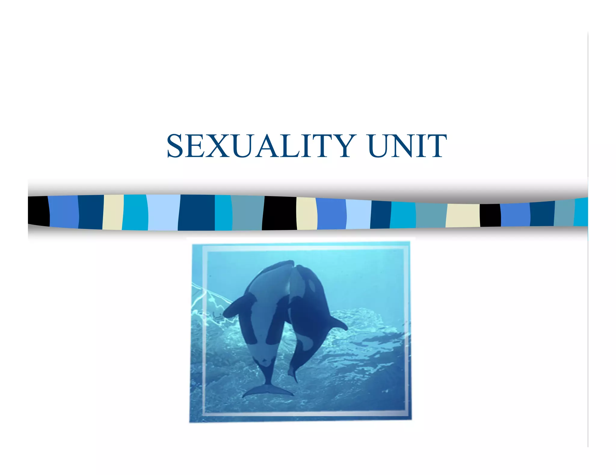 Sexuality Powerpoint Pdf