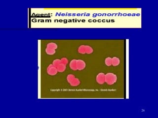 Sexually Transmitted Infections | PPT
