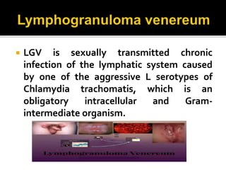 Sexually transmitted diseases- Syphilis and Lymphogranuloma venereum | PPT