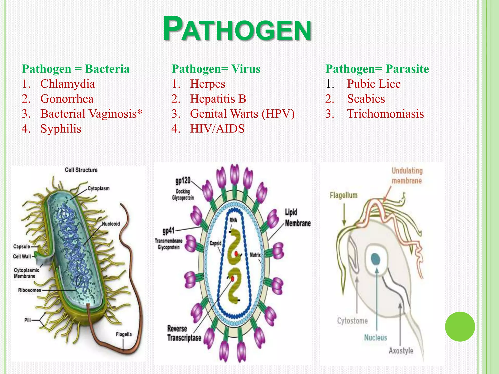 Sexually transmitted diseases | PPTX