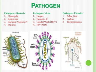Stds Caused By Bacteria