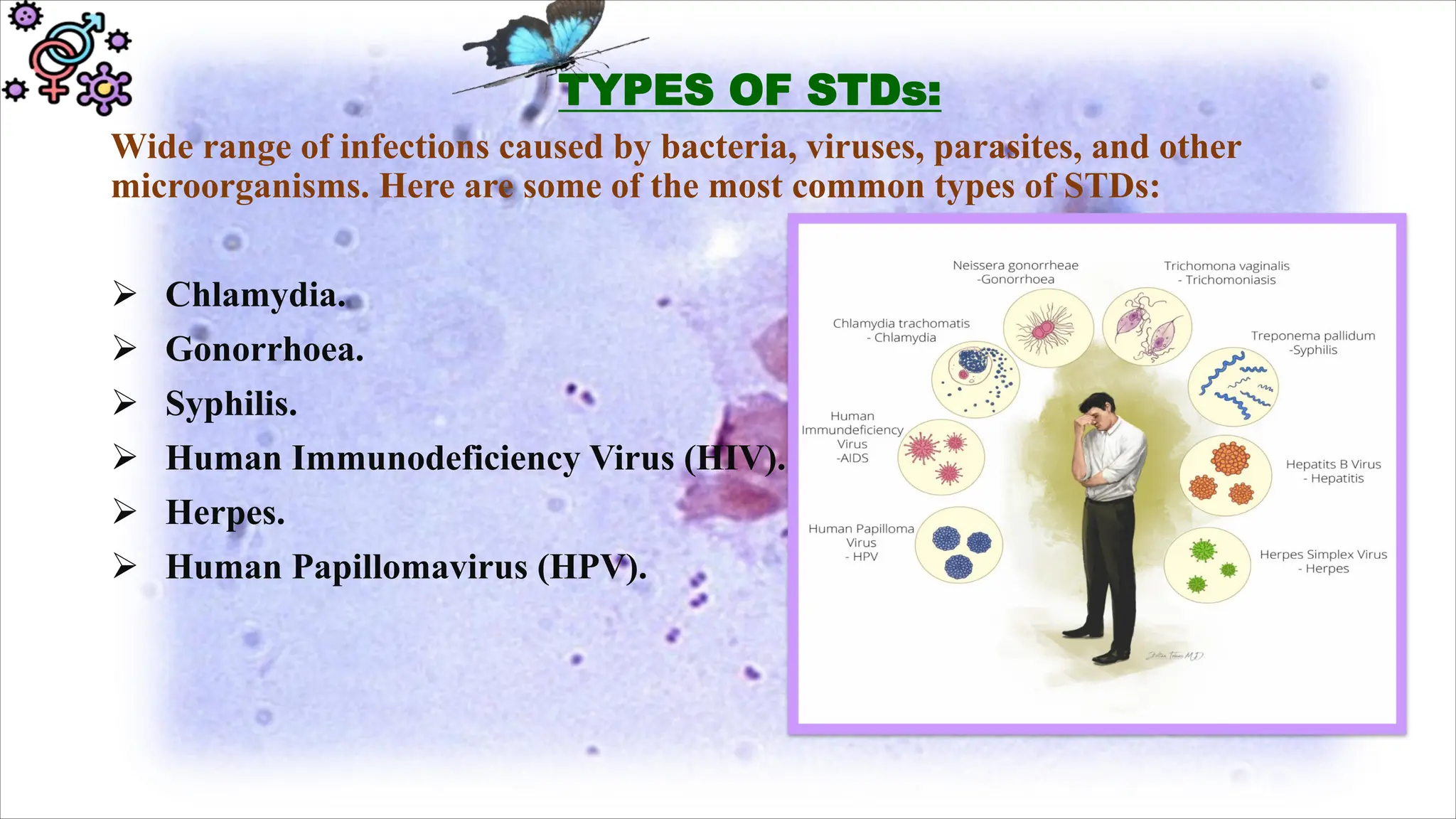 SEXUALLY TRANSMITTED DISEASES (STDs)..pdf