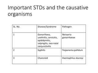 Sexually Transmitted Diseases HIV AIDS23-WPS Office.pptx