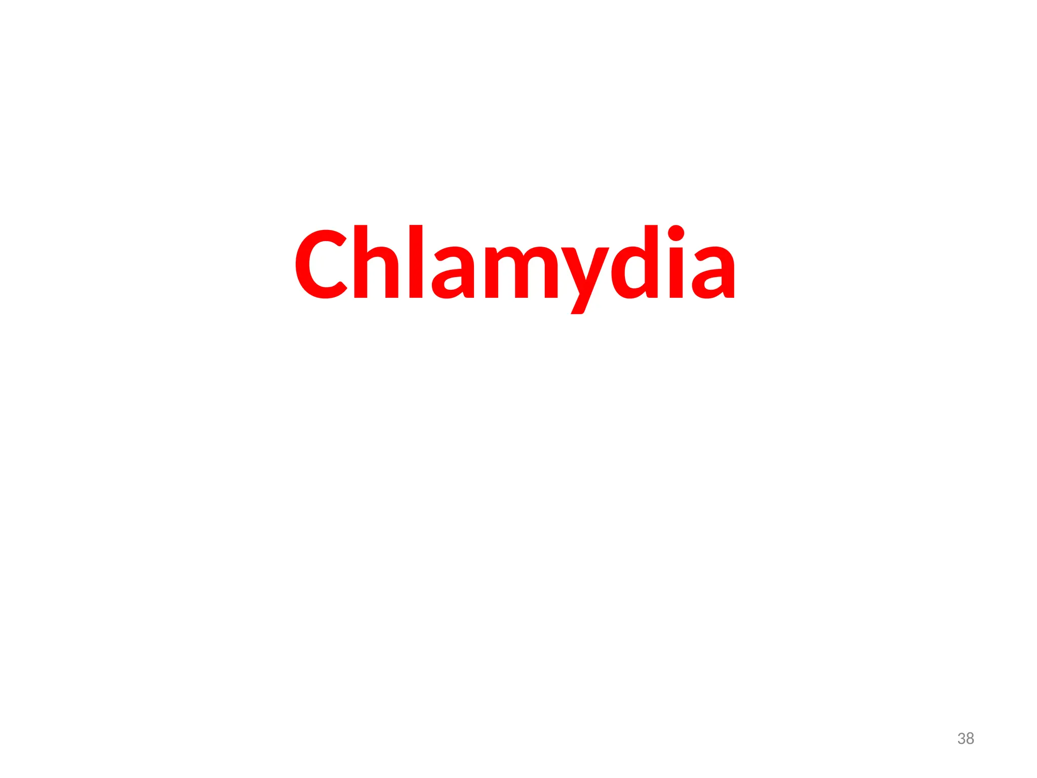 Sexually Transmitted Diseases PowerPoint.pptx