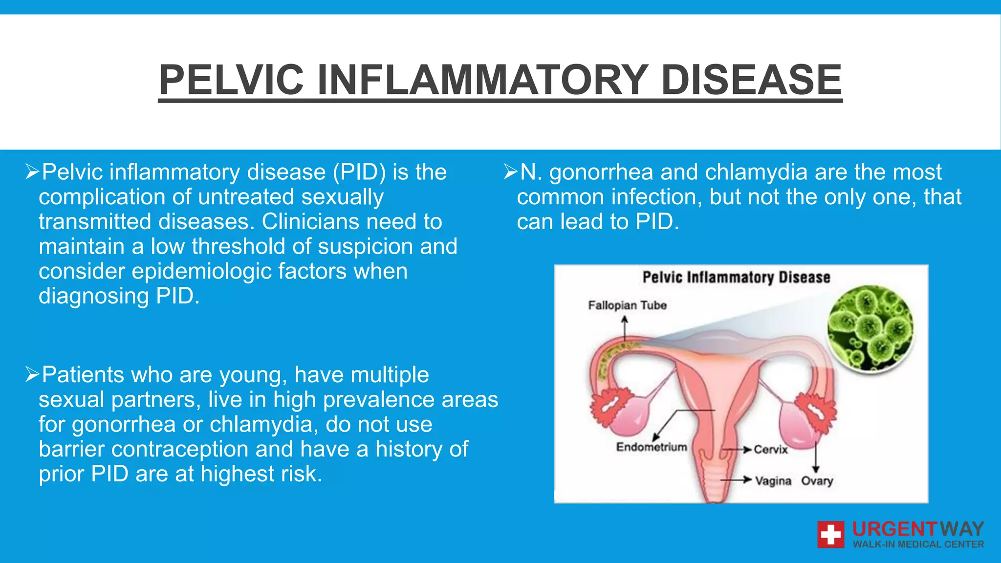 Sexually Transmitted Diseases (STDs) | PDF