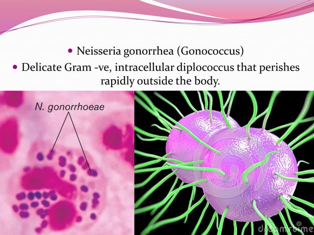 sexuallytransmitteddiseasesstds-160411054725.pdf