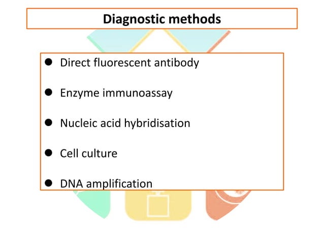Sexually Transmitted Infections Ppt[1] 052541 Pptx