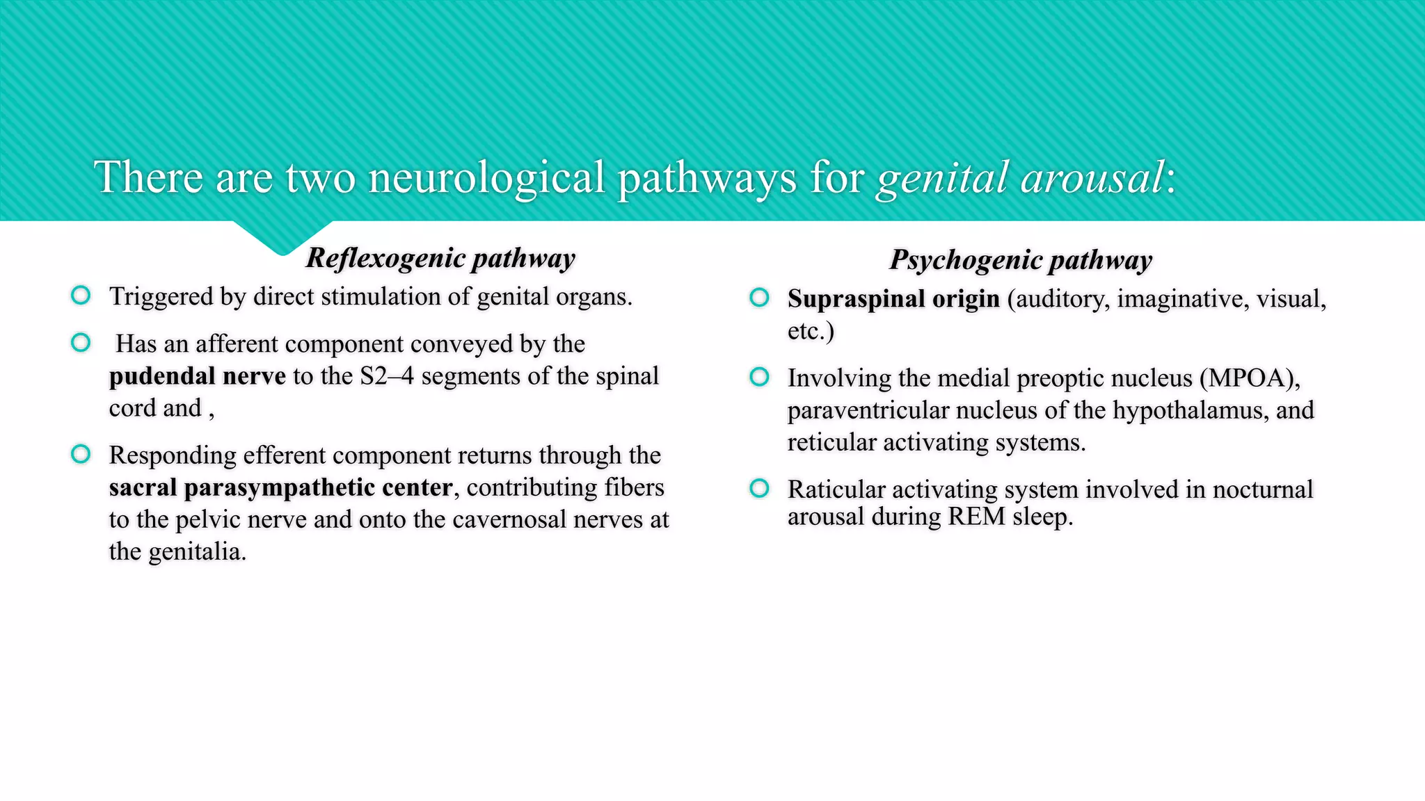 Sexual Rehabilitation Ppt