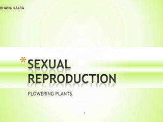 Sexualrepro flowering BY BHANU KALRA | PPT
