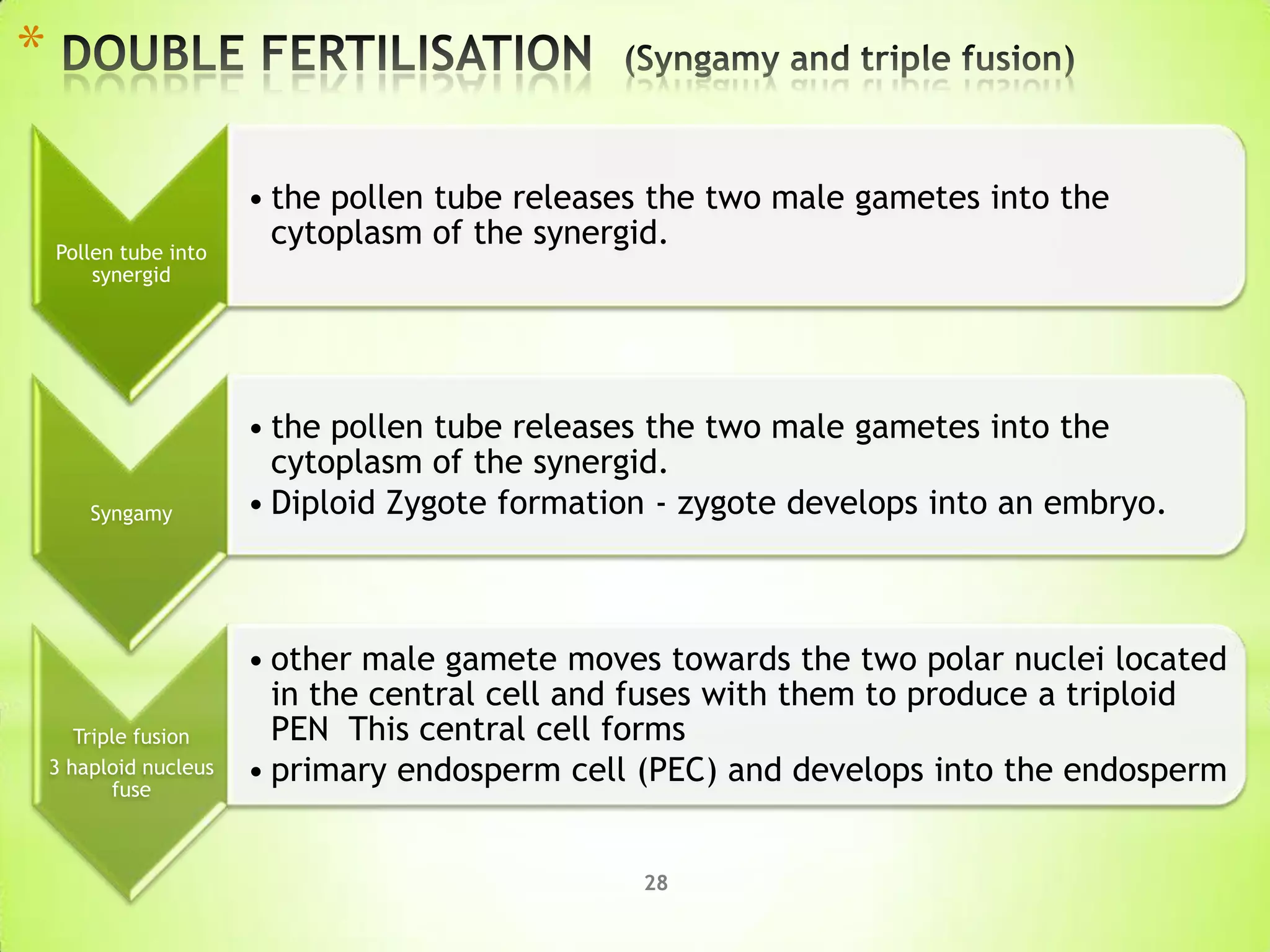 Sexual reproduction flowering plants_PUC_II | PPTX