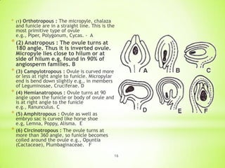 Sexual reproduction flowering plants_PUC_II | PPTX