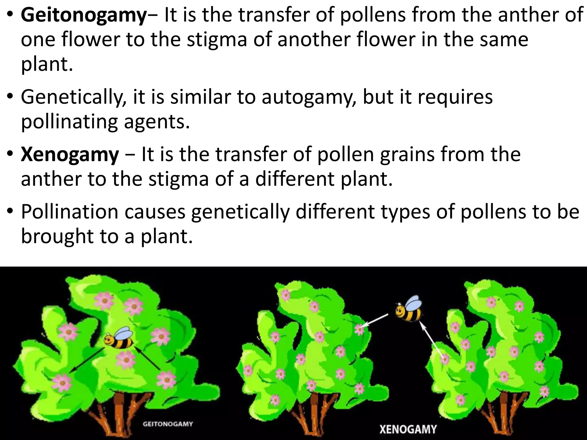 Sexual reproduction in Flowering Plants | PPTX