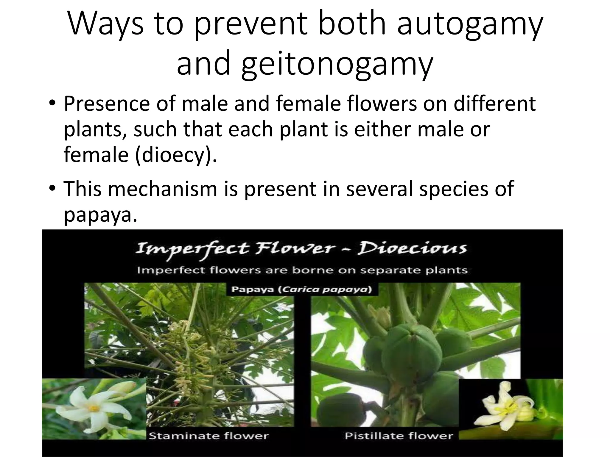 Sexual reproduction in Flowering Plants | PPTX