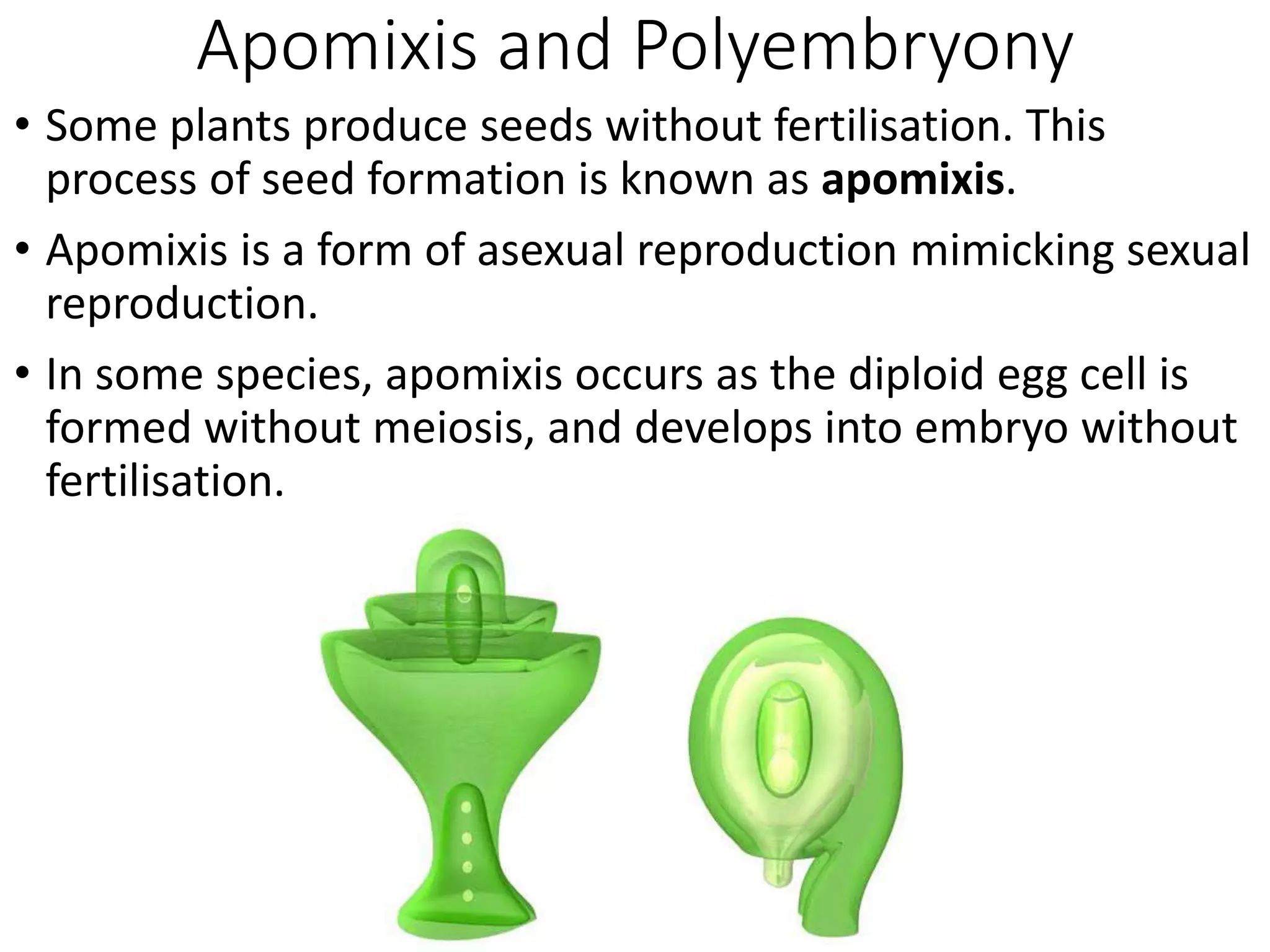 Sexual reproduction in Flowering Plants | PPTX