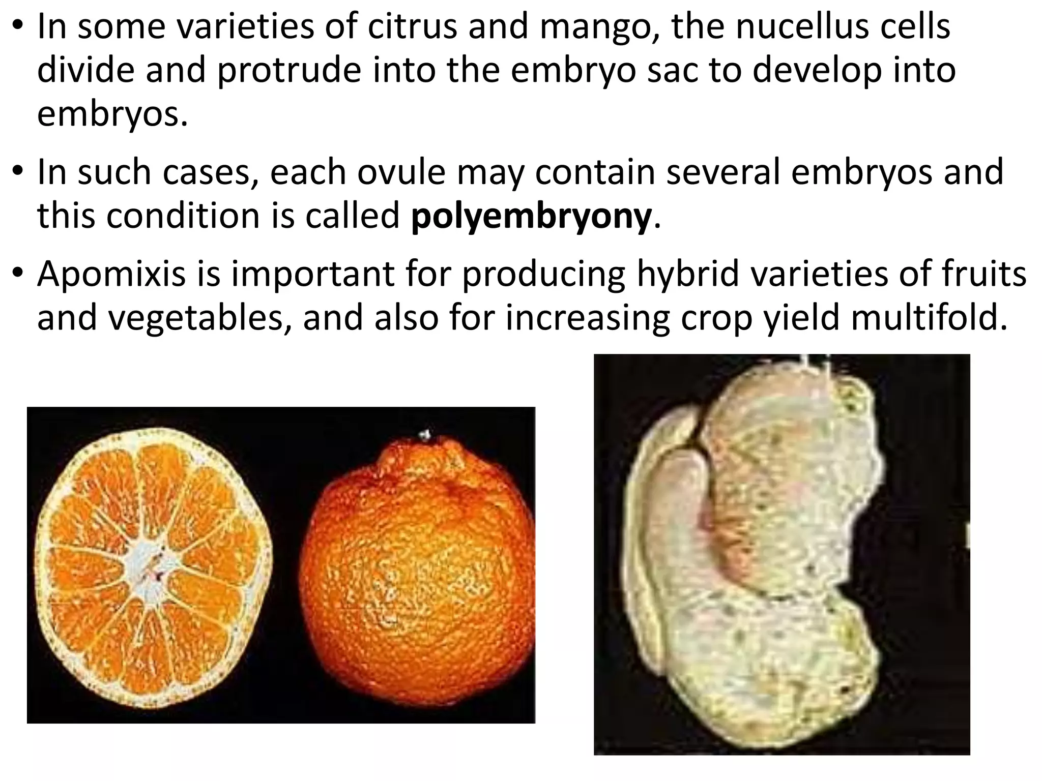 Sexual reproduction in Flowering Plants | PPTX