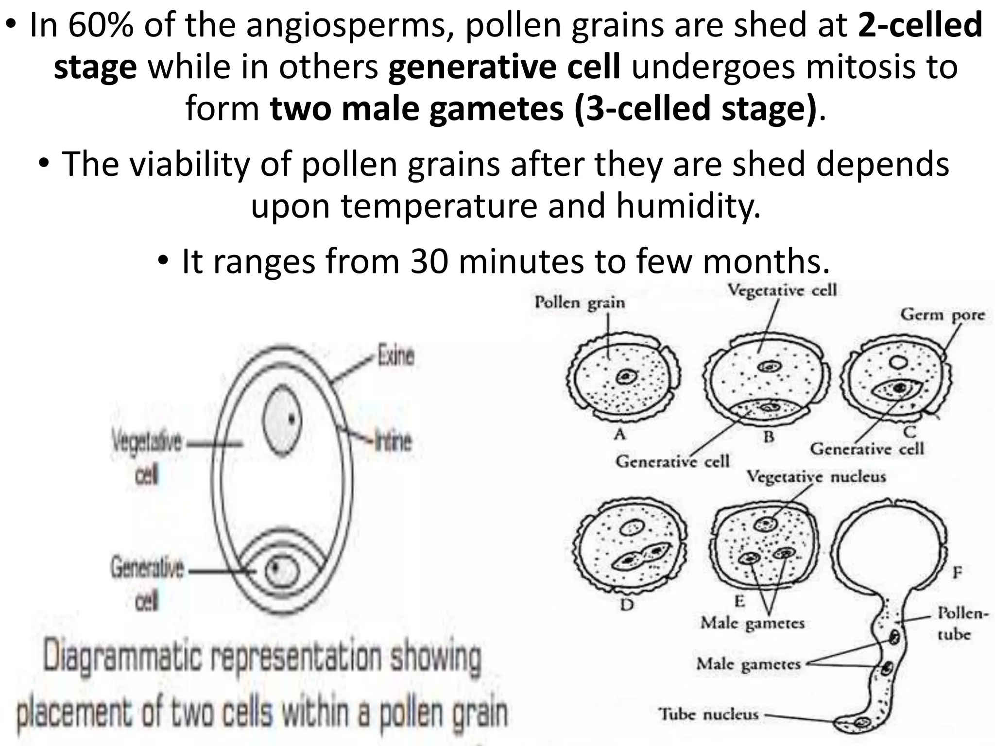 Sexual reproduction in Flowering Plants | PPTX