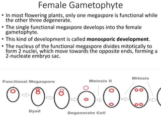Sexual reproduction in Flowering Plants | PPTX