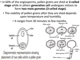 Sexual reproduction in Flowering Plants | PPTX