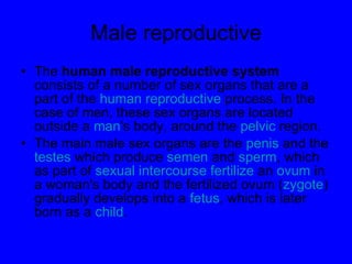 Sexual Reproduction | PPT