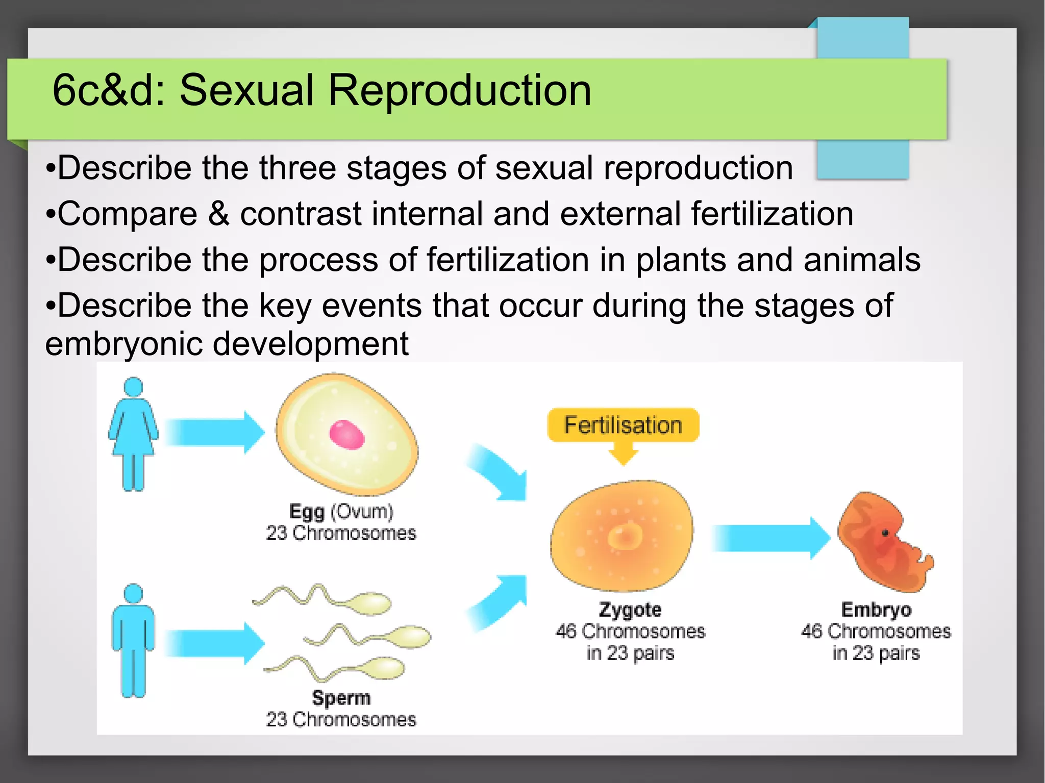 Sexual reproduction | ODP