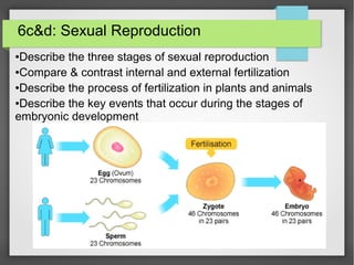 Sexual reproduction | ODP