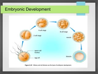 Sexual reproduction | ODP