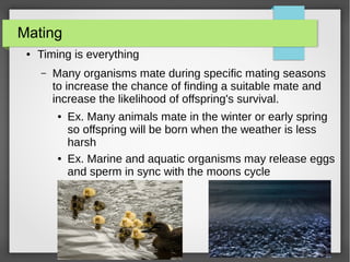 Sexual reproduction | ODP