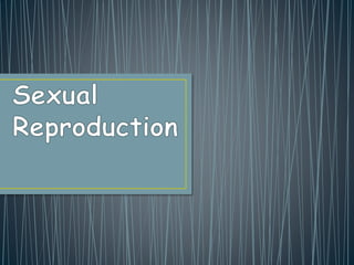 Sexual Reproduction in Plants | PPTX