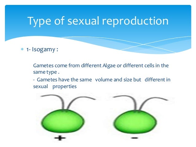 Sexual reproduction