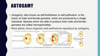 Sexual reproduction | PPTX