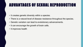Sexual reproduction | PPTX
