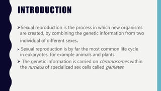 Sexual reproduction | PPTX